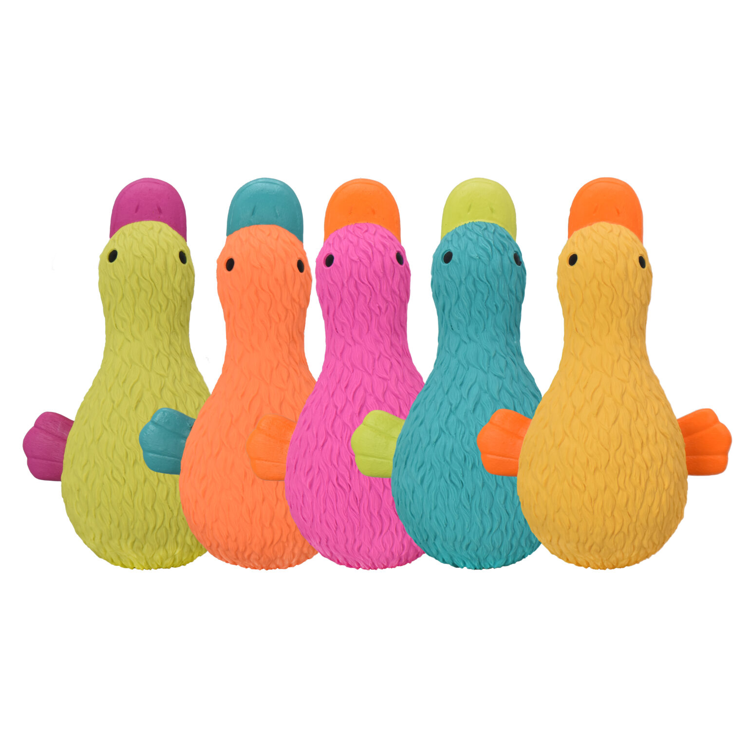 Latex Duckworth | Multipet