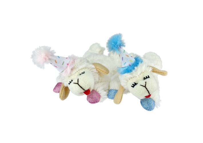 Lamb Chop® Birthday Cat Toy | Multipet