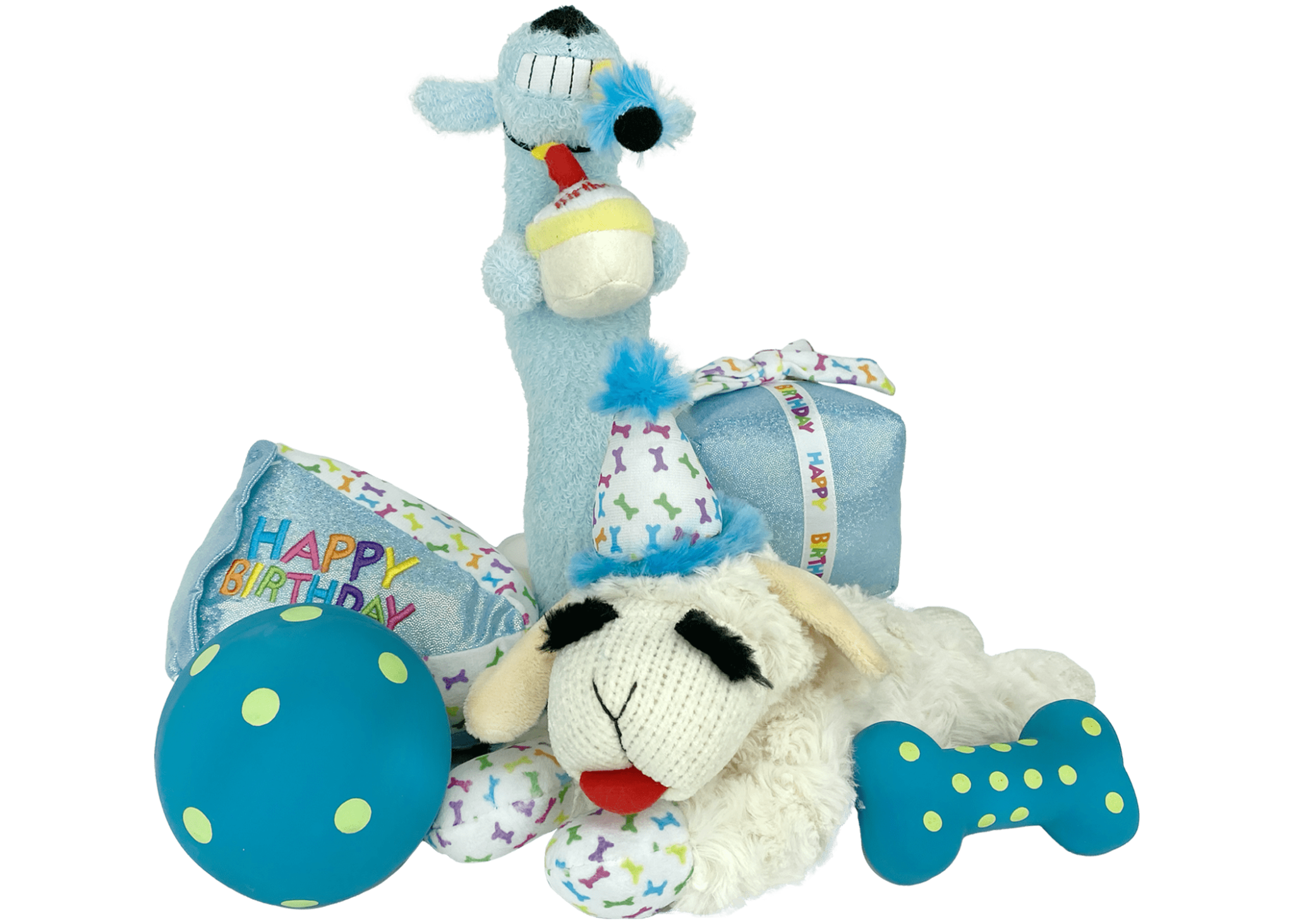 BIRTHDAY DOG BOX - BLUE | Multipet