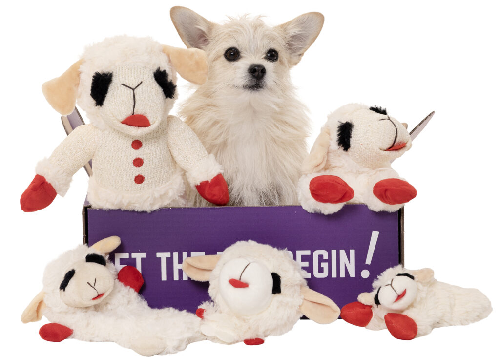 LAMB CHOP® BOX | Multipet