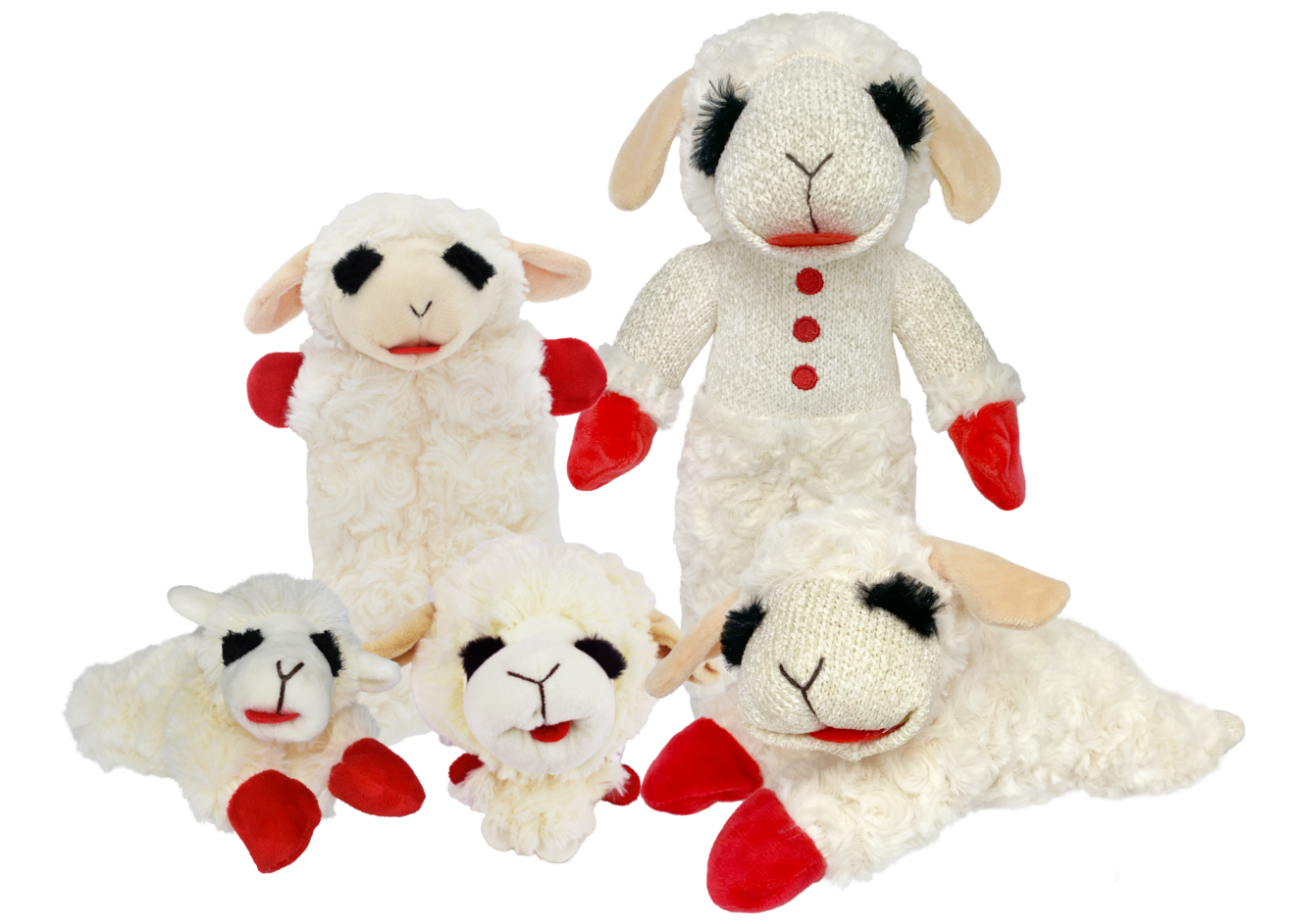 LAMB CHOP® BOX | Multipet