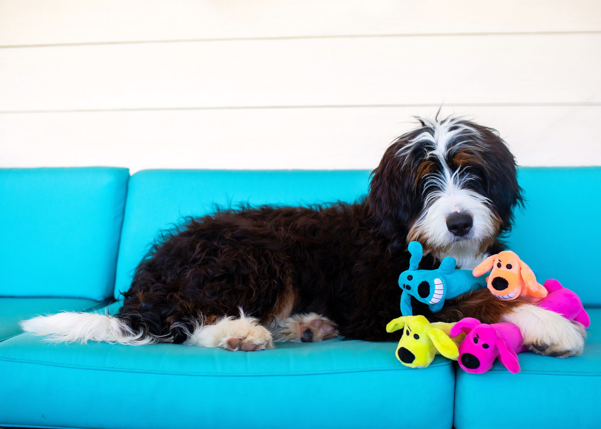 Loofa® Dog, The Original | Multipet