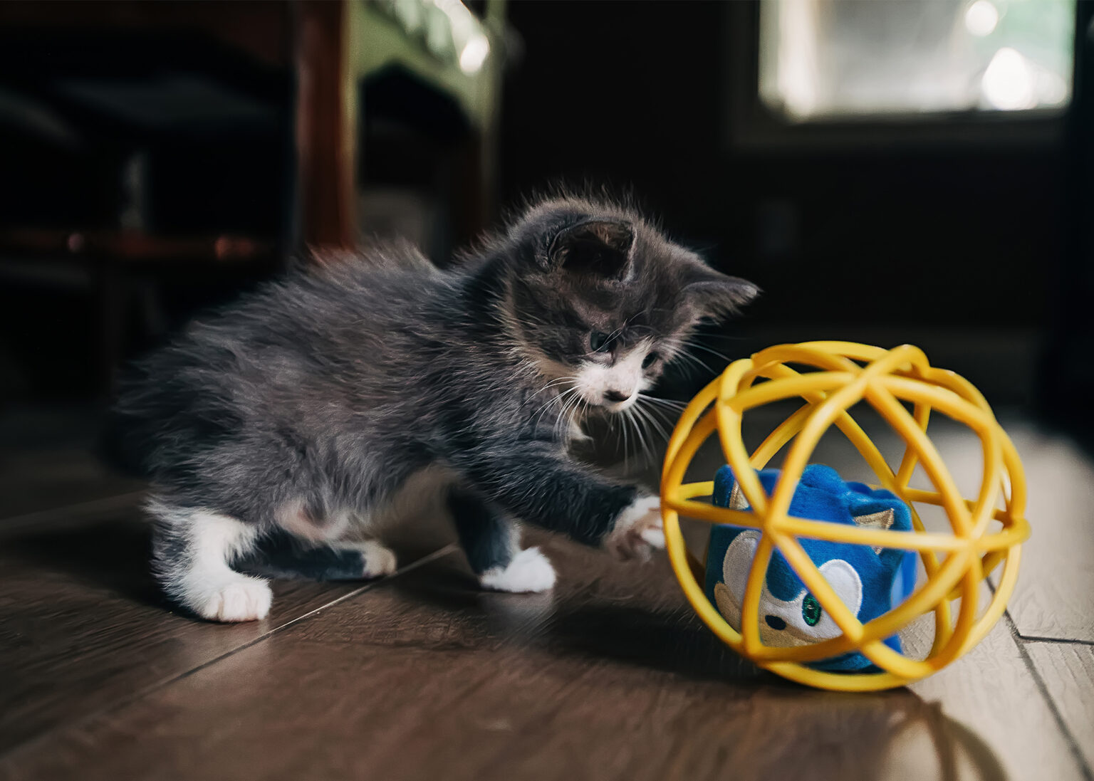 Sonic the Hedgehog® Cage Ball for Cats | Multipet