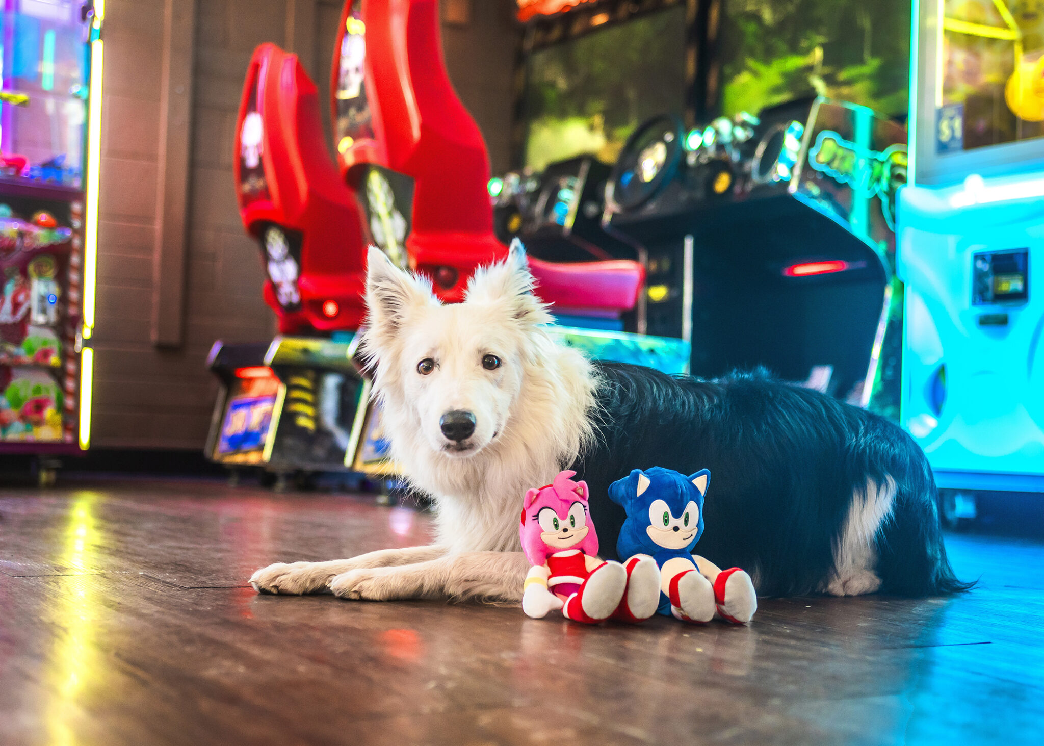 Sonic the Hedgehog® Amy Rose Figure | Multipet