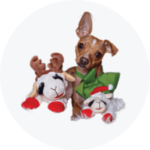 Leading Pet Product Supplier in the United States | Multipet